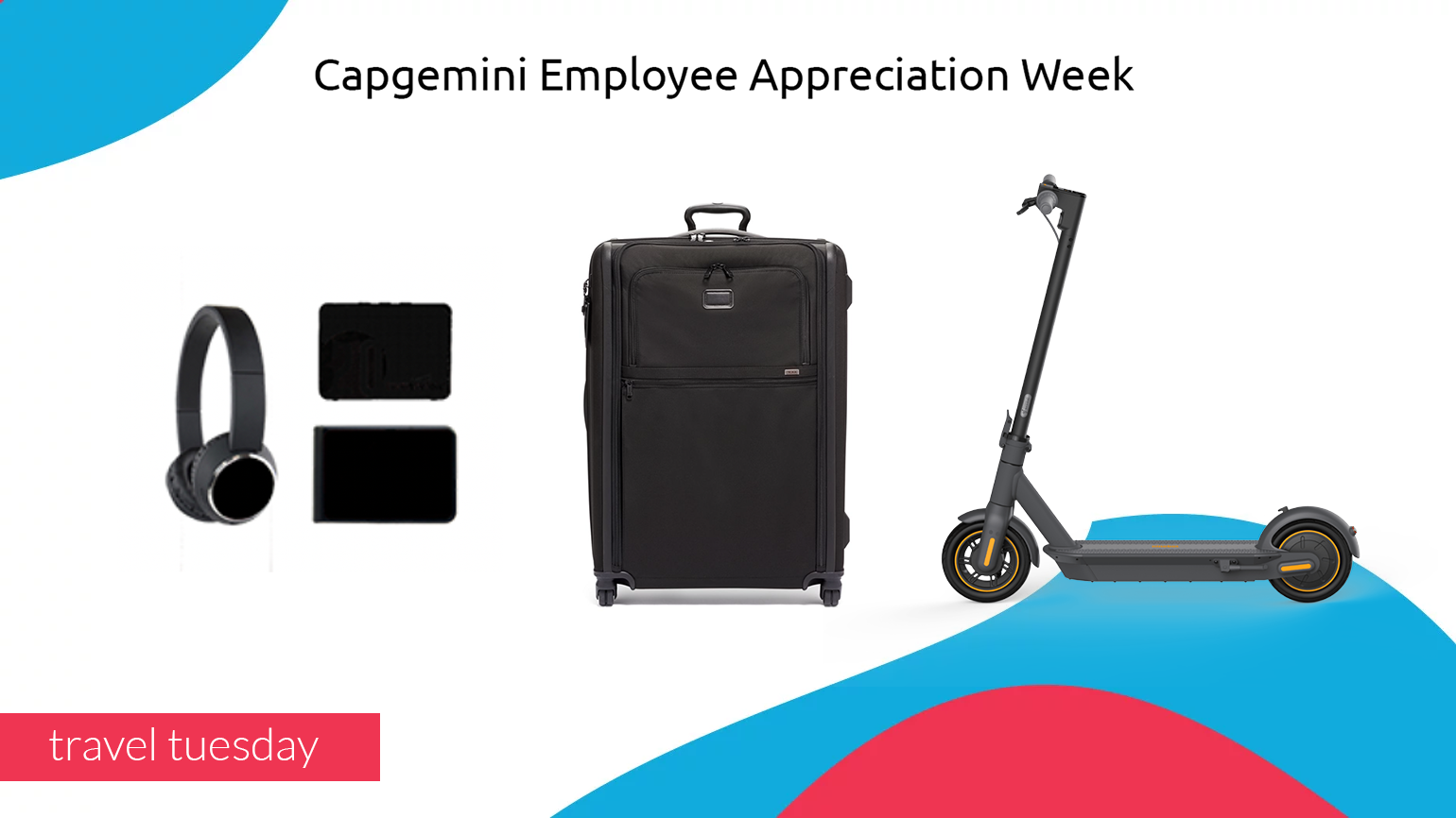 Portfolio: Capgemini Boosts Employee Engagement with Sustainable Products
